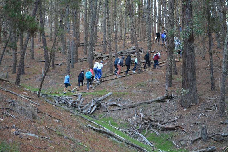 High School & College – Warrambui