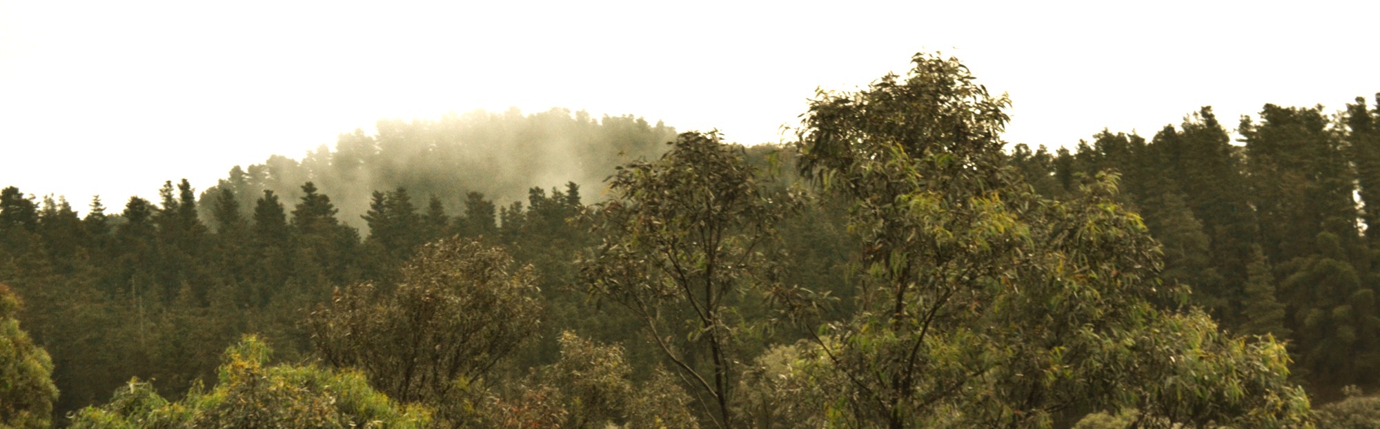 Warrambui – Retreat & Conference Centre